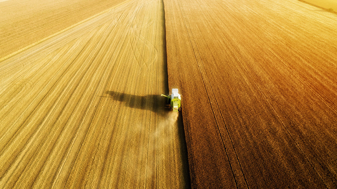 Measuring Real-time Grain Quality for Better Decisions – Introducing t ...