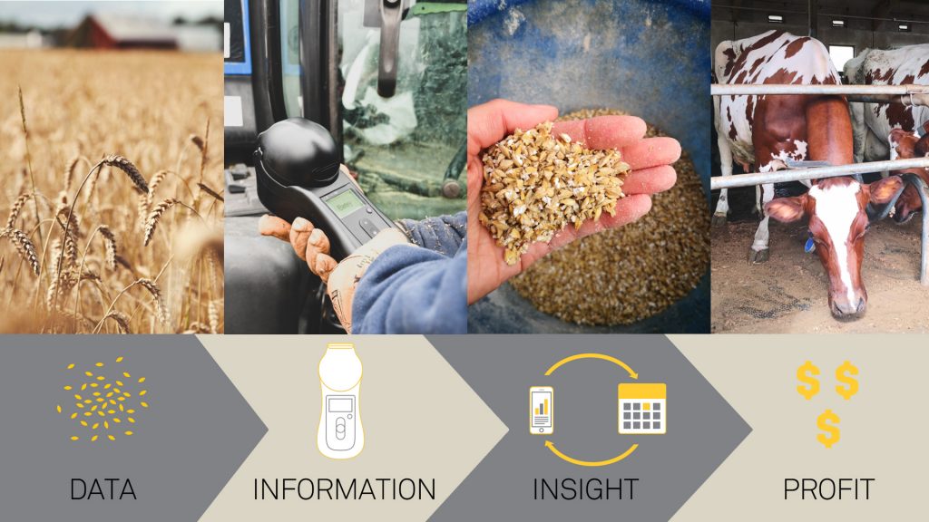 Innovation in animal feed practices to increase the profitability of f ...