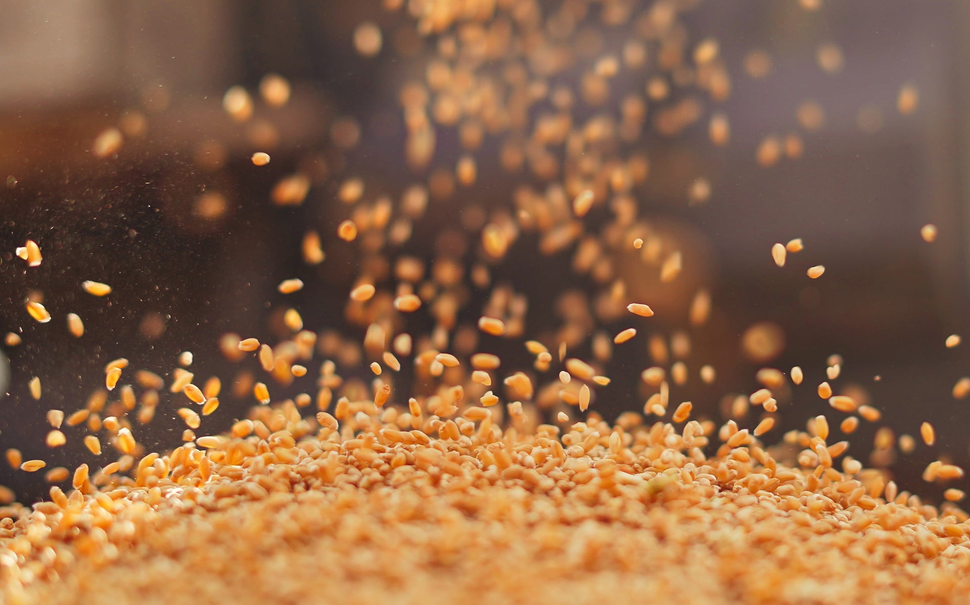 GrainSense - Sense Your Grain